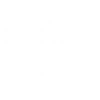 Home Page - Elusivedisc Blog